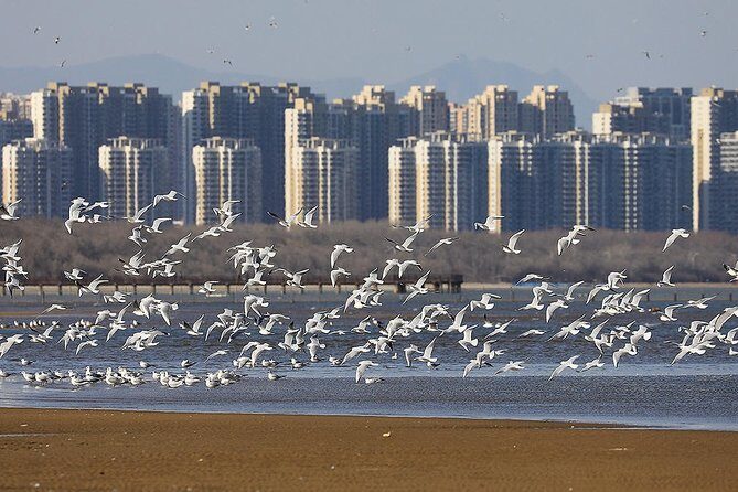 Private Seasonal Day Tour to Beidaihe from Beijing with Birding Experience - Pricing and Value: Is It Worth It?
