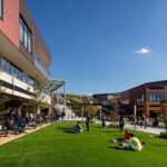 Private Shopping Tour from Hakone City to Grandberry Park - What Do Travelers Say?