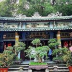 Private Shore Excursion to My Son Sanctuary & Da Nang City: Chan May or Tien Sa - The Iconic Dragon Bridge and Da Nang’s Modern Spirit