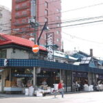 Private Sightseeing Special City Tour from Sapporo Station - The Itinerary in Detail