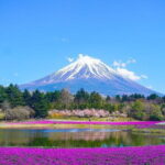 Private Sightseeing to Mt Fuji and Hakone with English Driver - Transportation and Practicalities