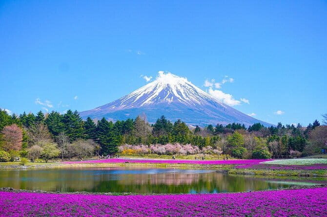 Private Sightseeing to Mt Fuji and Hakone with English Driver - Transportation and Practicalities