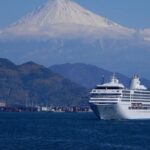 Private Sightseeing Tour from Shimizu Port /Small Bus - The Practicalities & Value