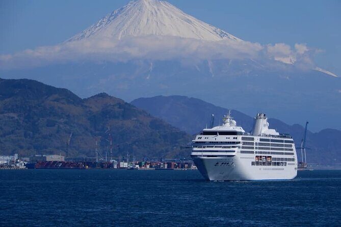 Private Sightseeing Tour from Shimizu Port /Small Bus - The Practicalities & Value