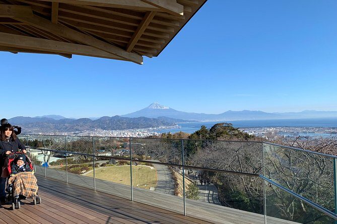 Private sightseeing tour from Shimizu Port / Van Taxi - The Itinerary in Detail