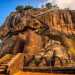 Private Sigiriya & Dambulla Day Tour From Colombo - What Travelers Say
