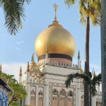 Private Singapore Car Tour with Driver Licensed Guide - Deep Dive into the Itinerary