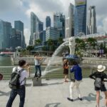 Private Singapore City Highlights Tour By Car - Half Day or Full Day - Who Will Love This Tour?