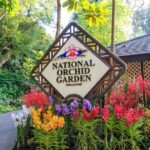 Private Singapore City Tour and National Orchid Garden - What This Tour Means for You