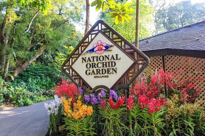 Private Singapore City Tour and National Orchid Garden - What This Tour Means for You