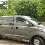 Private Singapore Departure Transfer: Hotel to Changi Airport - What the Experience Looks Like