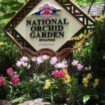 Private Singapore Full Day Round Island Tour with River Cruise - The Itinerary Breakdown: What to Expect