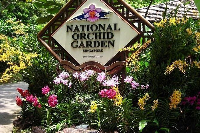 Private Singapore Full Day Round Island Tour with River Cruise - The Itinerary Breakdown: What to Expect