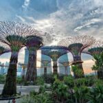 Private Singapore Night Tour with Gardens by the Bay&River Cruise - Why This Tour Offers Great Value