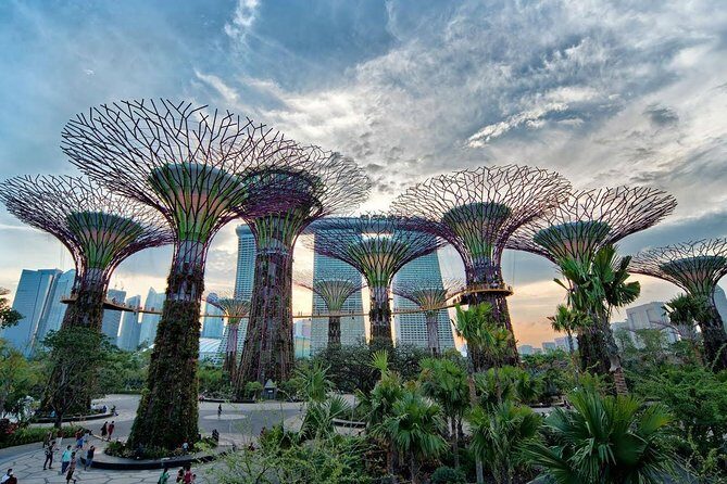 Private Singapore Night Tour with Gardens by the Bay&River Cruise - Why This Tour Offers Great Value