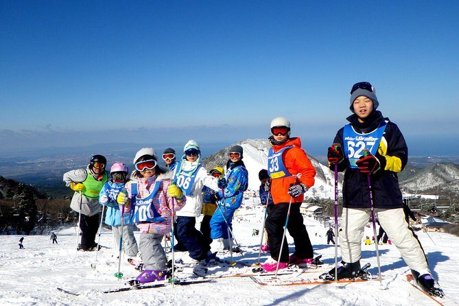 Private ski lesson for family or group(Transport included ) - Practical Tips for a Smooth Ski Day