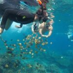 Private Small Group Snorkeling and West Nusa Penida Tour All Inclusive from Bali - Return Journey and Reflection