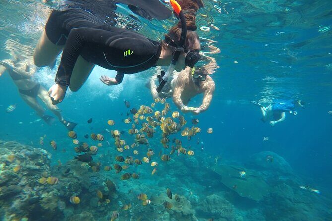 Private Small Group Snorkeling and West Nusa Penida Tour All Inclusive from Bali - Return Journey and Reflection