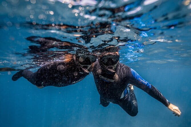 Private Snorkeling and Freediving Trip to Manta Point - What Makes This Tour Stand Out?