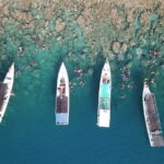 Private Snorkeling and Island Hopping Tour in Karimunjawa - Why Travelers Love It