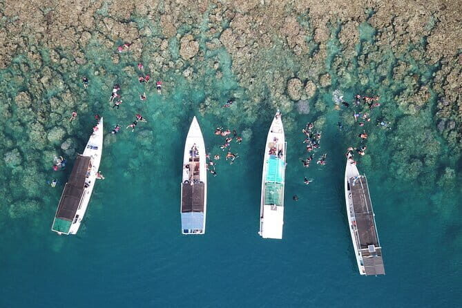 Private Snorkeling and Island Hopping Tour in Karimunjawa - Why Travelers Love It