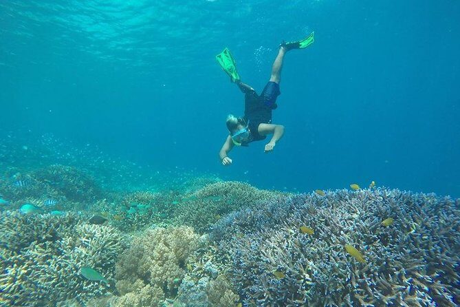 Private Snorkeling Gili Island (Coral, Statue and Turtle) - What makes this tour special?
