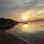 Private Special shows museum city tour by Lexus - Transportation and Comfort