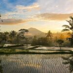 Private spiritual Journey with purification ceremony and lunch - Analyzing the Value: Is It Worth It?