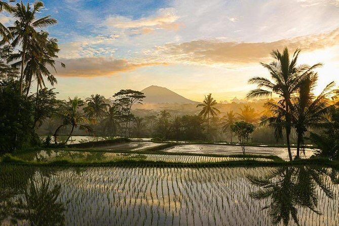 Private spiritual Journey with purification ceremony and lunch - Analyzing the Value: Is It Worth It?