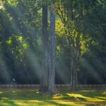 Private Sunrise and Sunset Angkor Park Tour with Rest Mid-Day - What This Tour Means for Travelers