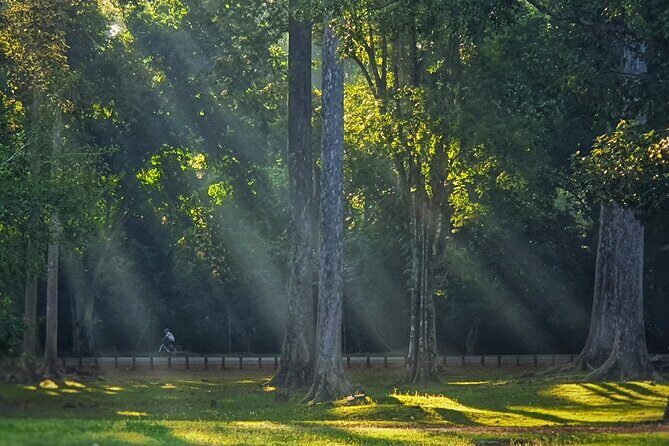 Private Sunrise and Sunset Angkor Park Tour with Rest Mid-Day - What This Tour Means for Travelers