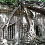 Private Sunrise Angkor Tour - Detailed Breakdown of the Itinerary