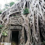 Private Sunrise Angkor Wat Tour - What Makes This Tour Stand Out