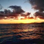 Private Sunset Boat Tour in San Jose del Cabo - Practical Details and Tips