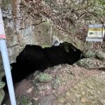 Private Tabon Cave Day Tour from Puerto Princesa City - FAQ