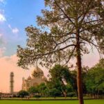 Private Taj Mahal Sunrise Day Tour From Delhi by Ac Car - All Inclusive - Transport and Comfort