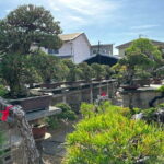 Private Takamatsu Busshozan Onsen Car Rail Tour - Overall Value and Suitability