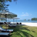 Private Tanjung Rhu Village and Mangroves by Boat in Langkawi - Key Points