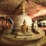 Private Taxi from Sri Lanka Airport (BIA-CMB) to Dambulla Hotels - Why Travelers Love It