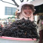 Private Taxi Phnom Penh to Siem Reap with English Speaking Driver - The Itinerary and Stops: What to Expect