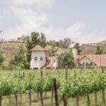 Private Temecula Wine Tour from Irvine - How Does It All Add Up in Value?