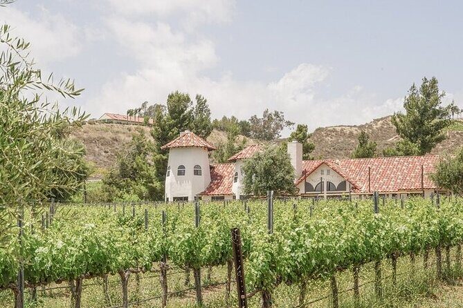 Private Temecula Wine Tour from Irvine - How Does It All Add Up in Value?
