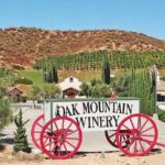 Private Temecula Wine Tour from San Juan Capistrano - A Relaxed Lunch at Cougar or Bel Vino Winery