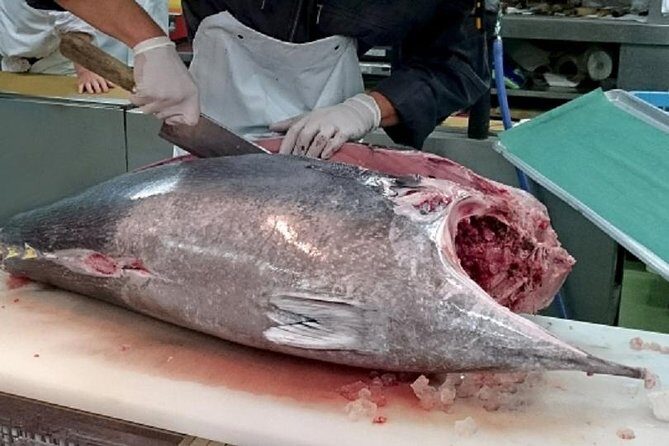 Private Tokyo Custom Walking Tour with a water bus ride - The Sum Up