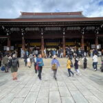 Private Tokyo Tour with Local Guide - The Practical Aspects