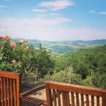 Private Top Brunello Montalcino Wine Tour & Food Pairing Session - Discovering Tuscanys Brunello Country