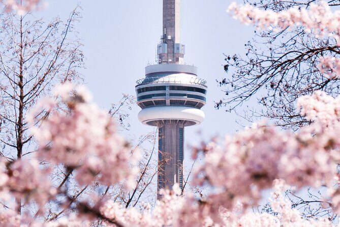 Private Toronto City Tour with Boat and CN Tower - Analyzing the Price and Value