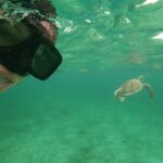 Private Tour: Akumal Marine Turtle Snorkeling and Cenote Adventure - Itinerary Breakdown