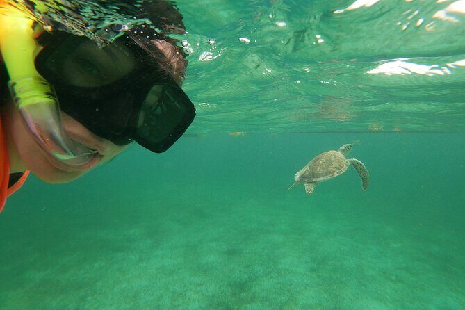 Private Tour: Akumal Marine Turtle Snorkeling and Cenote Adventure - Itinerary Breakdown