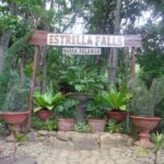Private Tour: Amazing Estrella Falls from Puerto Princesa - A Closer Look at the Estrella Falls Tour